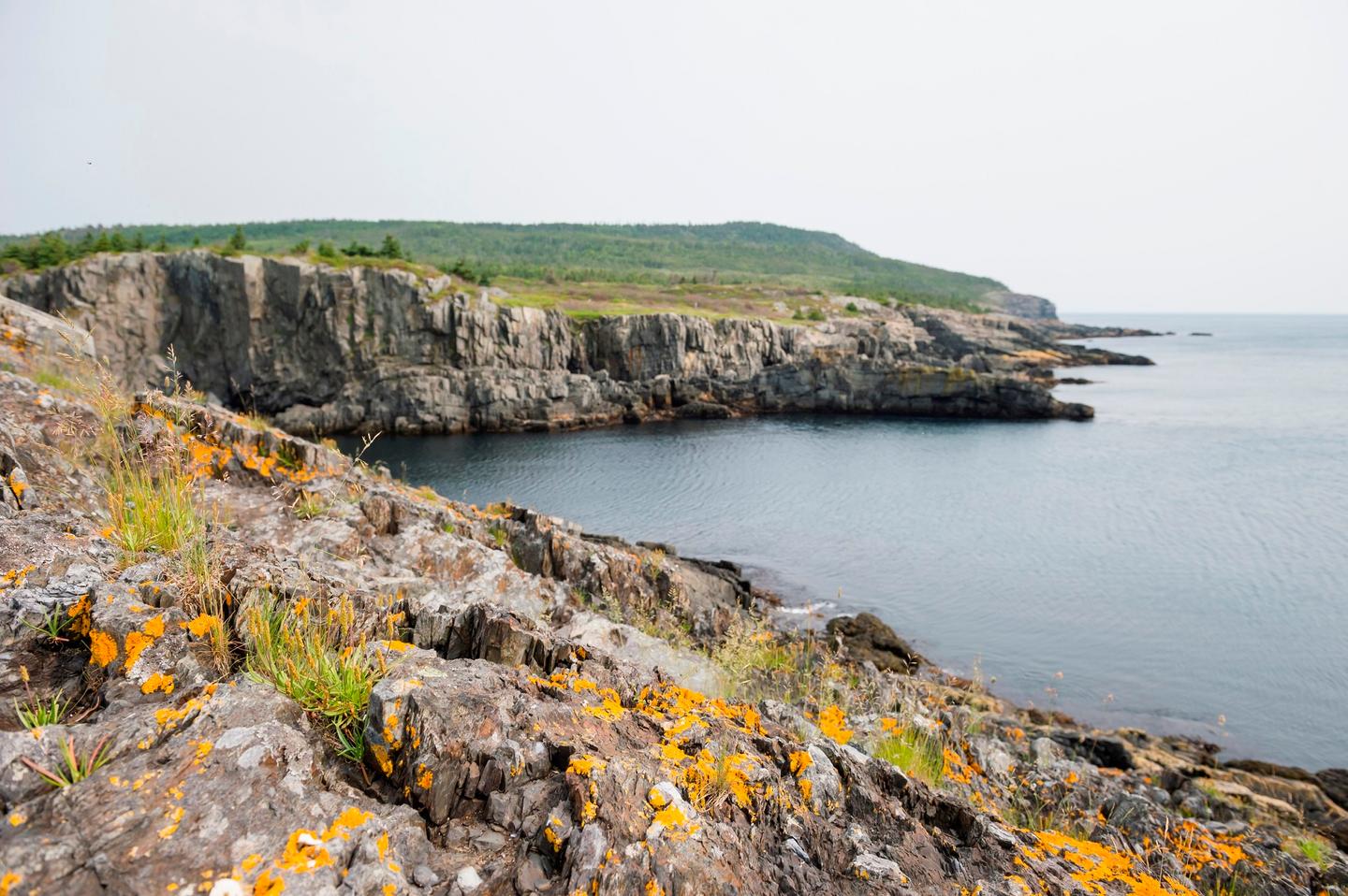 Les 10 incontournables de Terre-Neuve-et-Labrador | Destination Canada