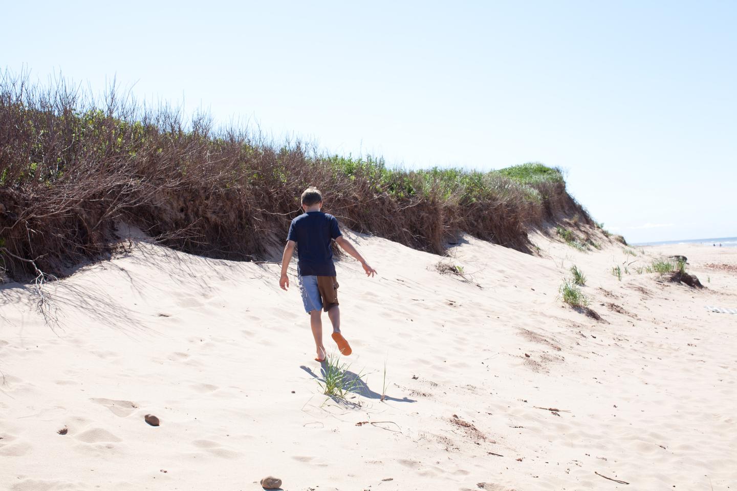 Les 10 incontournables de l’Île-du-Prince-Édouard | Destination Canada